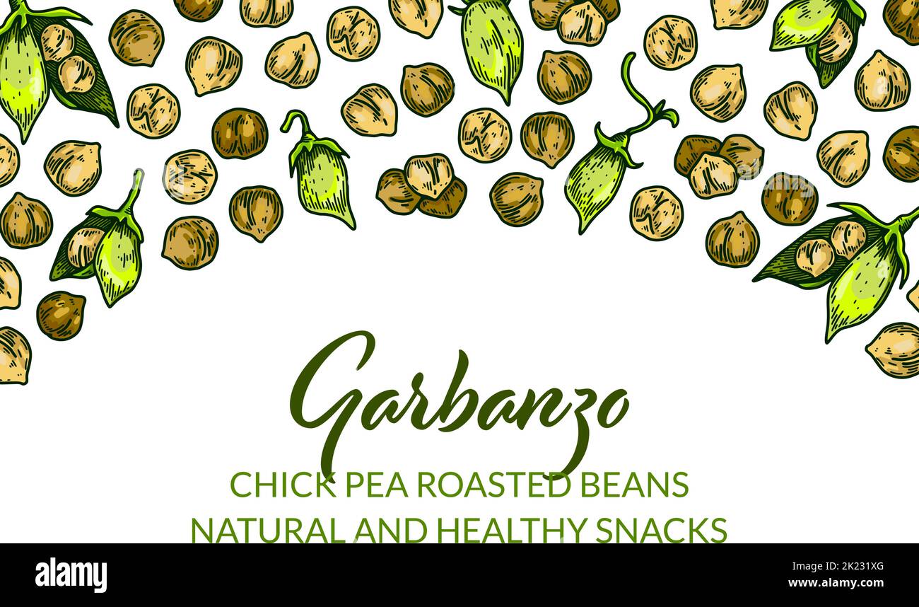 Colorful horizontal chickpeas design. Hand drawn illustration in ...
