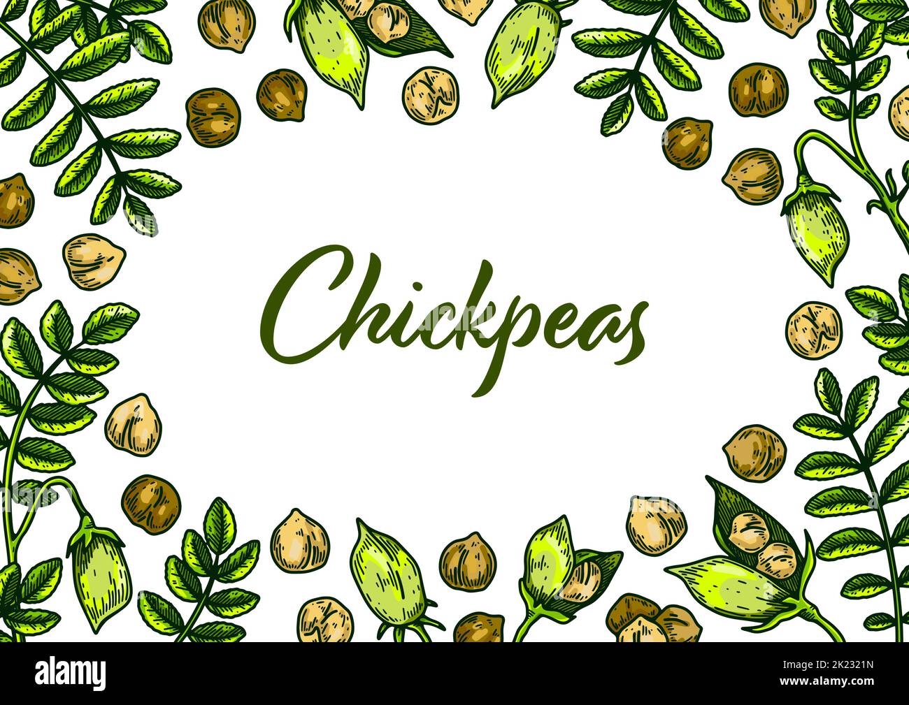 Colorful horizontal chickpeas design. Hand drawn illustration in ...