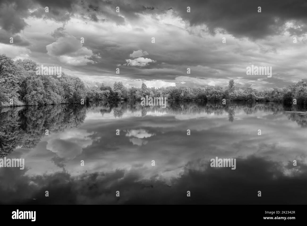 Black and white view across the lake at the Neigh Bridge Country Park ...