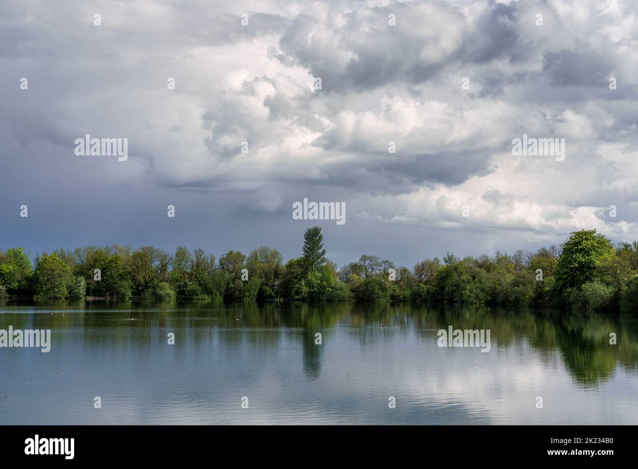 A view across the lake at the Neigh Bridge Country Park, one of the ...