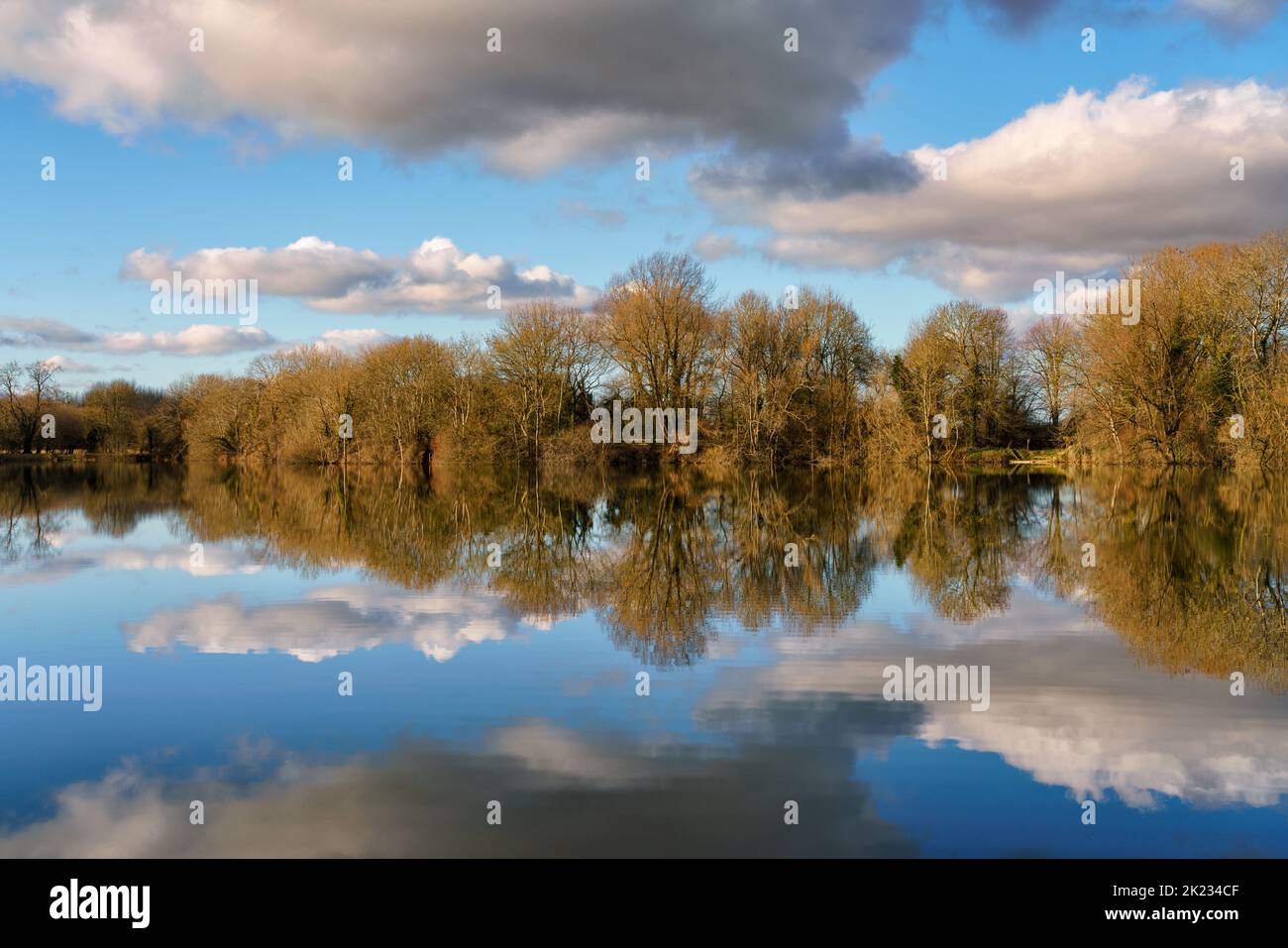 A view across the lake at the Neigh Bridge Country Park, one of the ...