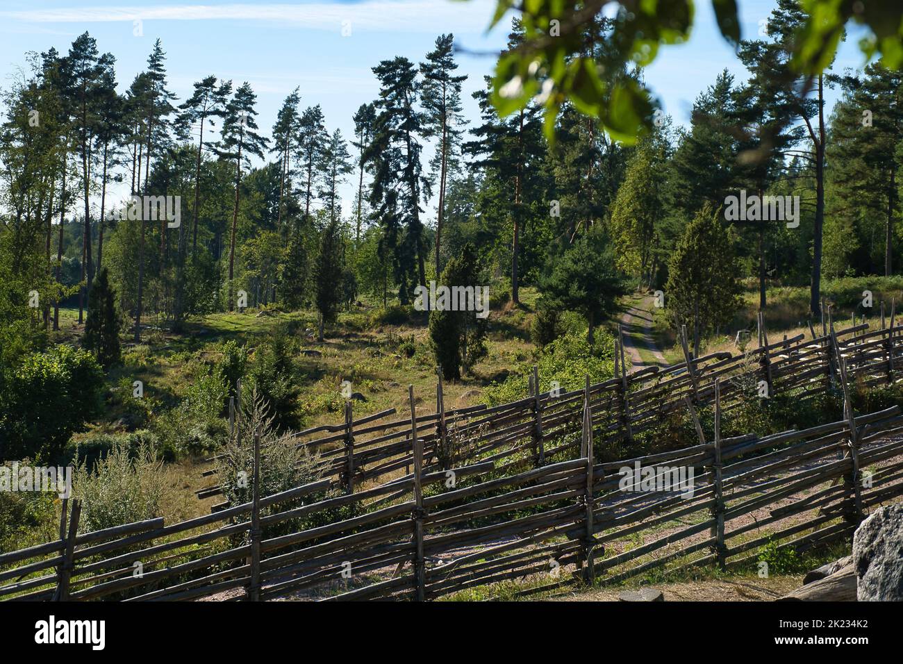 Walk in sweden smalland on a path by the ancient wooden fence. Forest ...