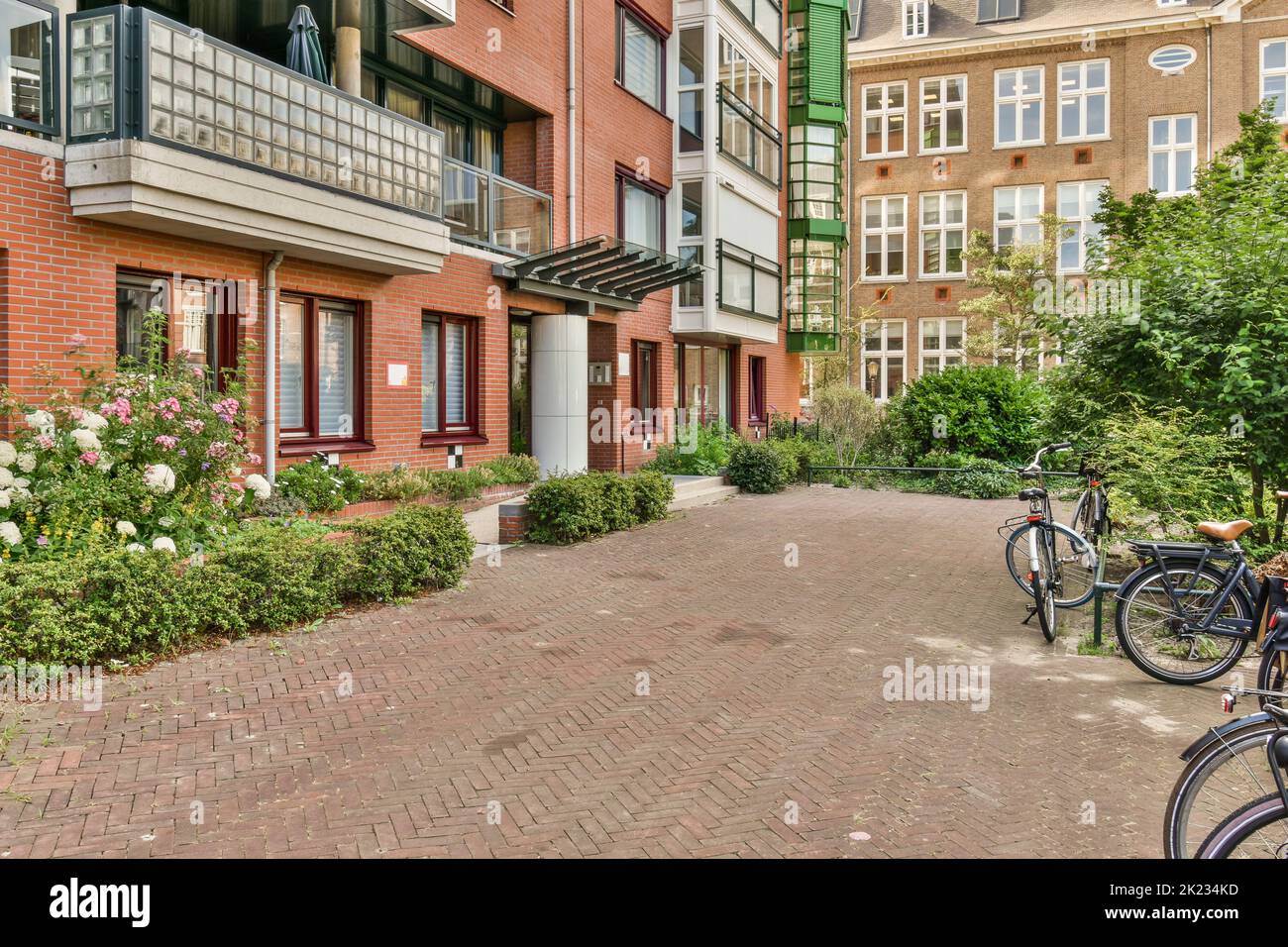 View of street near building with beauty of vegetation outside Stock ...