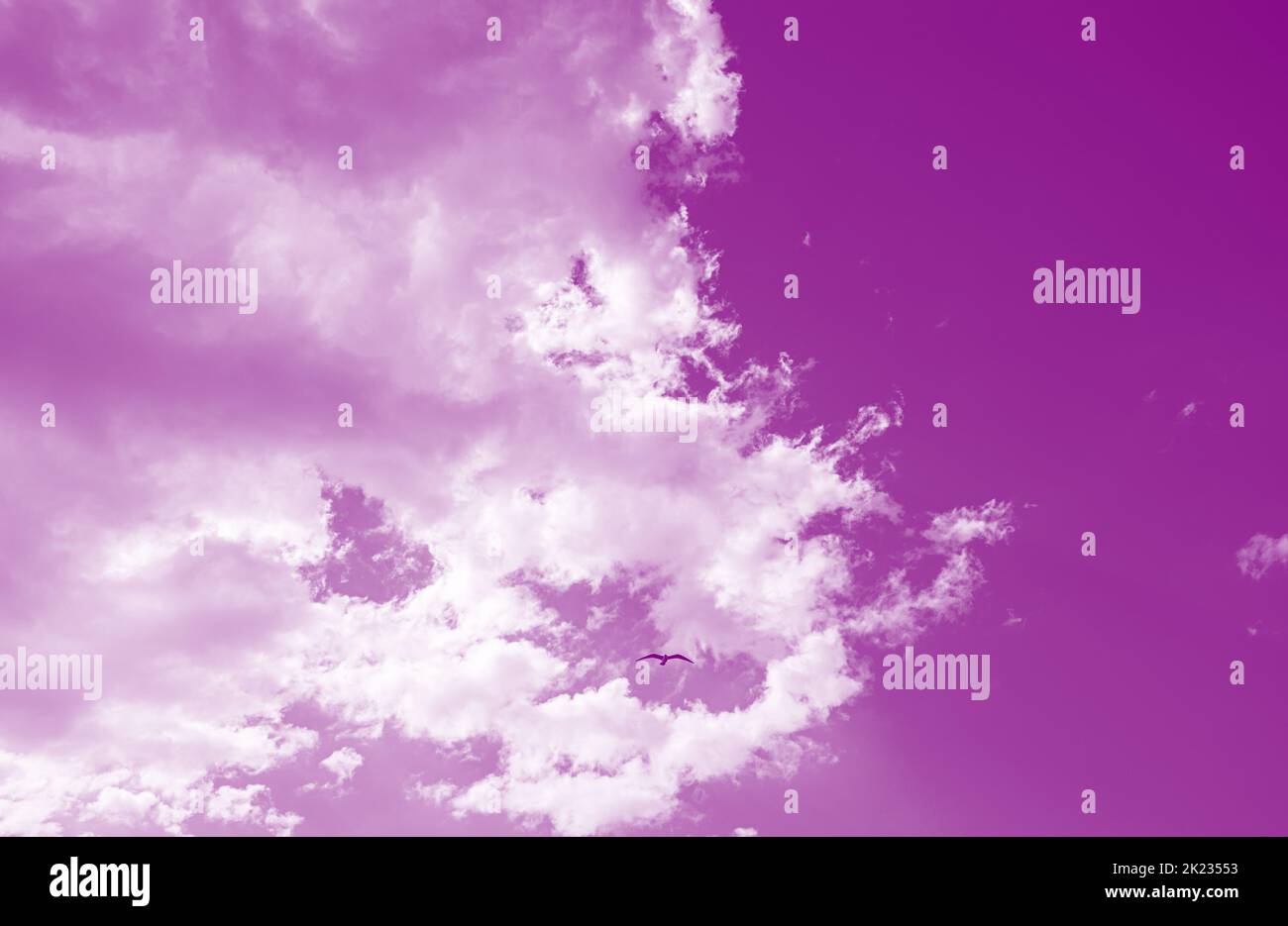 Beautiful violet clouds and sky. Abstract nature background Stock Photo ...