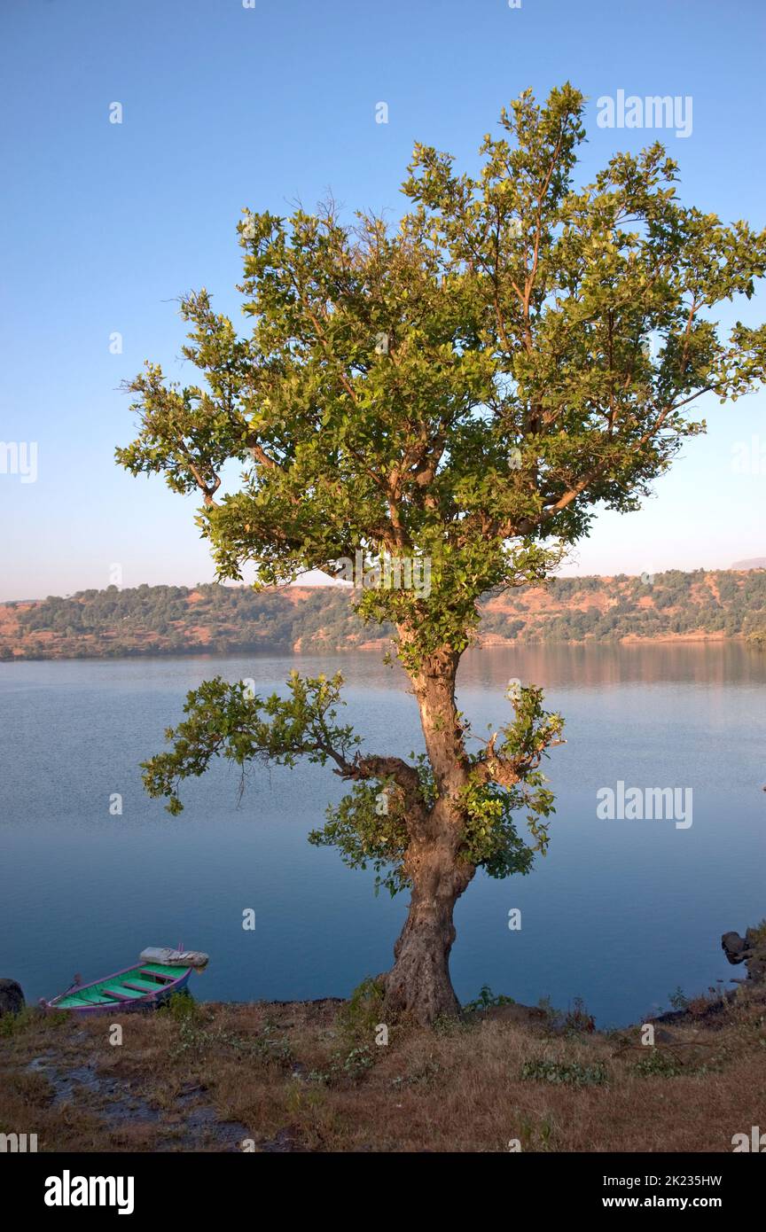 Bhandardara dam maharashtra india asia hi-res stock photography and ...
