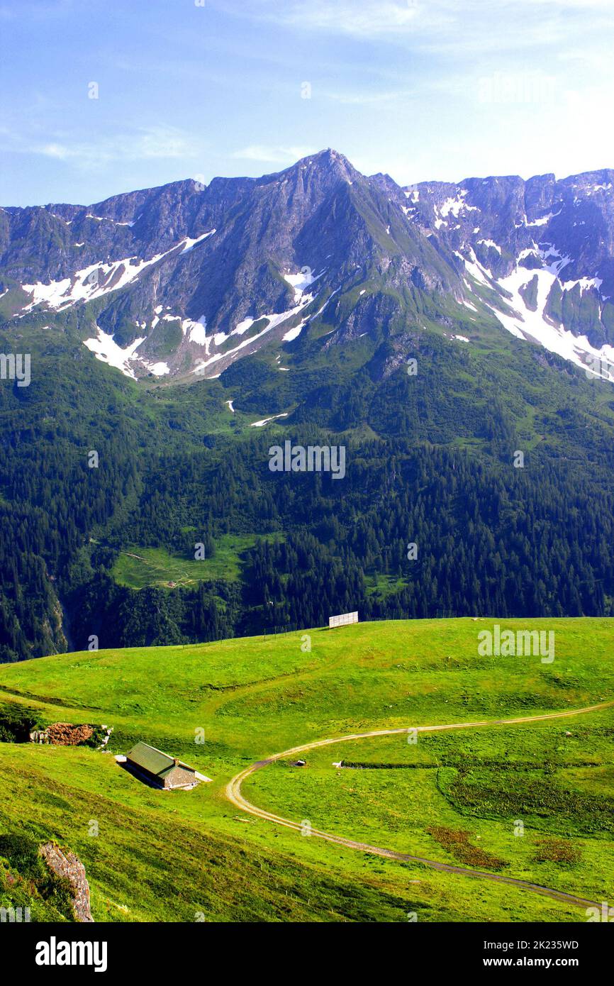Alpine farmland, Switzerland Stock Photo - Alamy