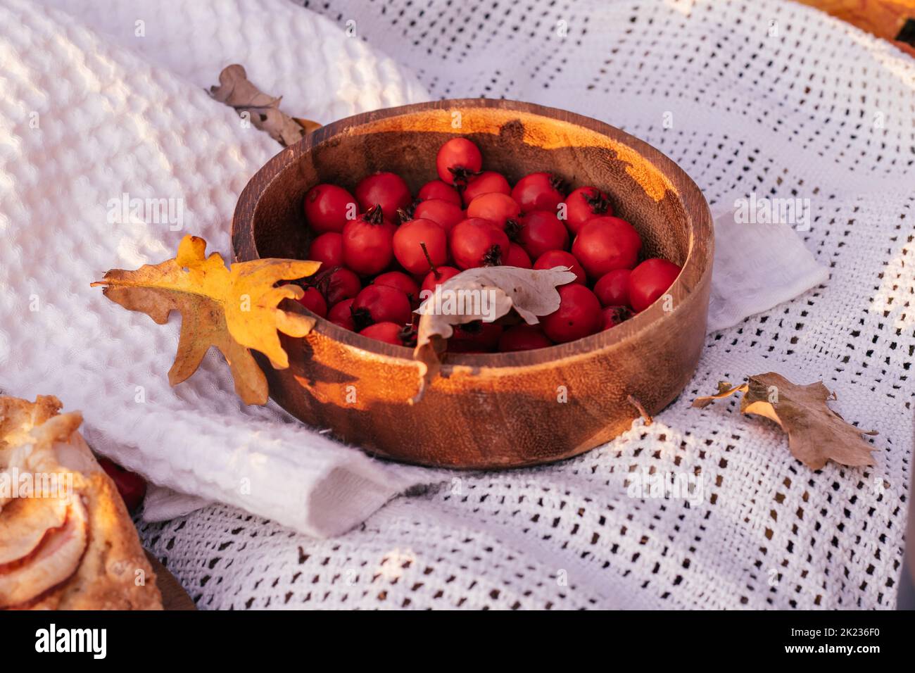 Oak fruit on common hi-res stock photography and images - Alamy