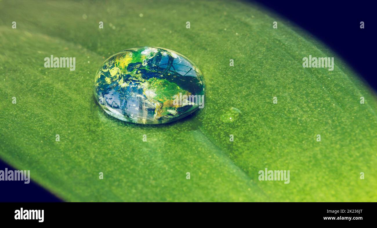 Water is the life-source of the world. Closeup shot of a water droplet ...