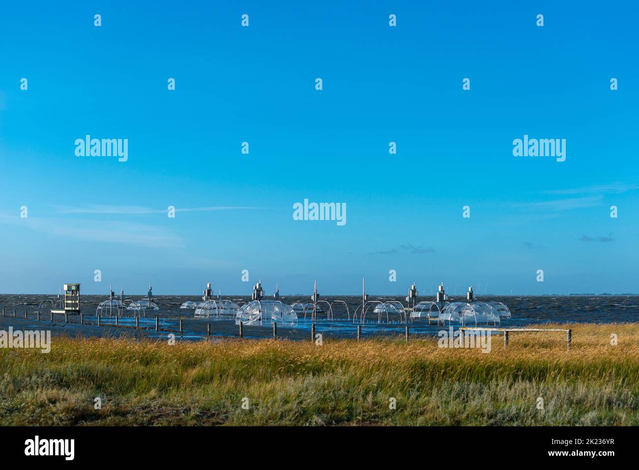 Partly flooded Hamburger Hallig, small islet in the North Sea ...