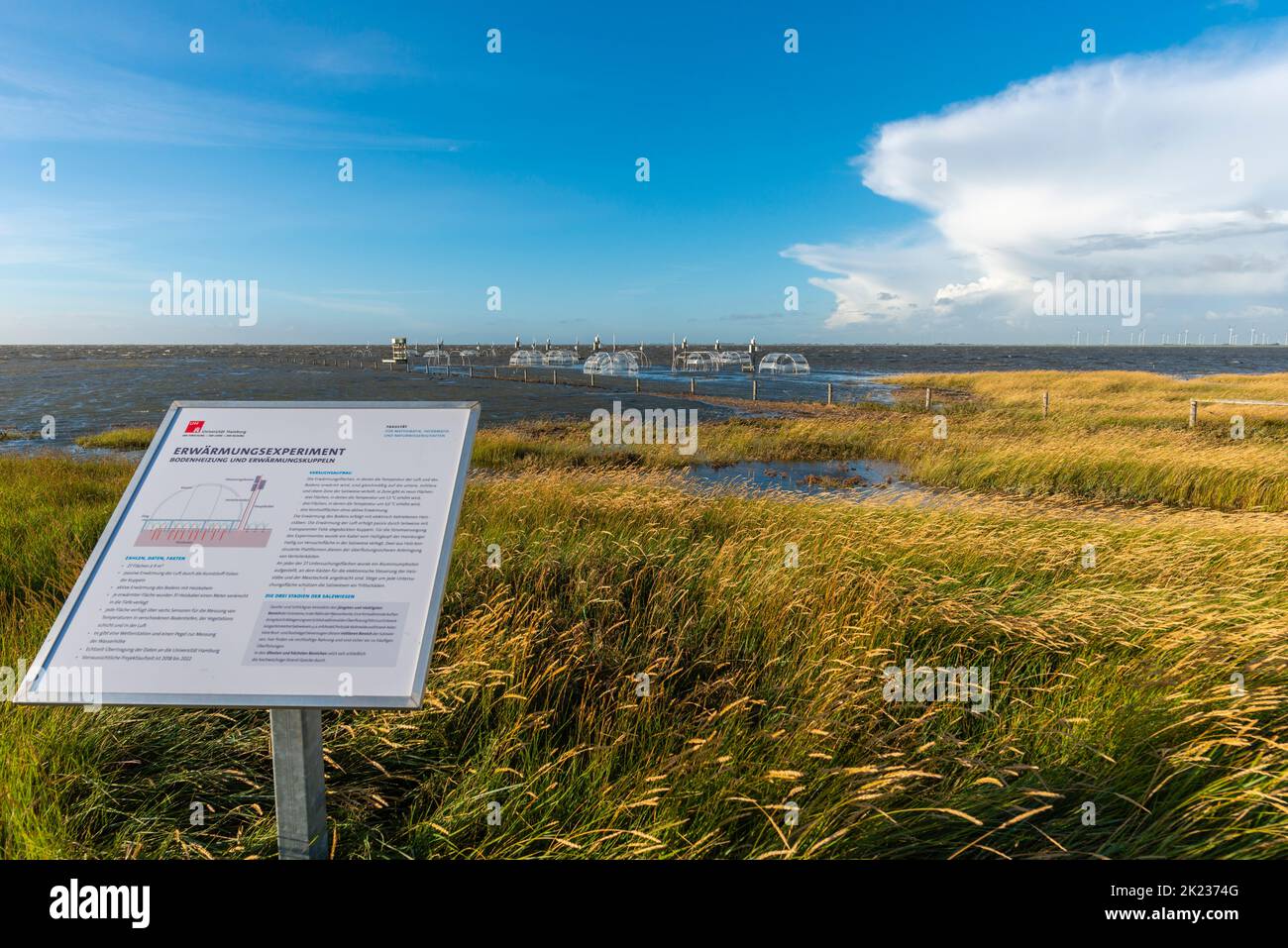 Partly flooded Hamburger Hallig, small islet in the North Sea ...