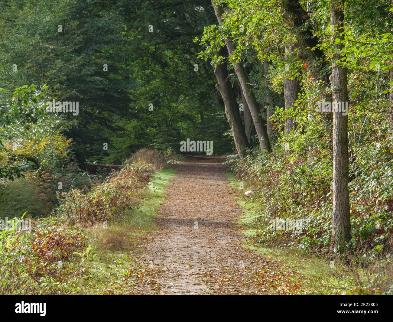 hiking at the berkel river in germany Stock Photo - Alamy