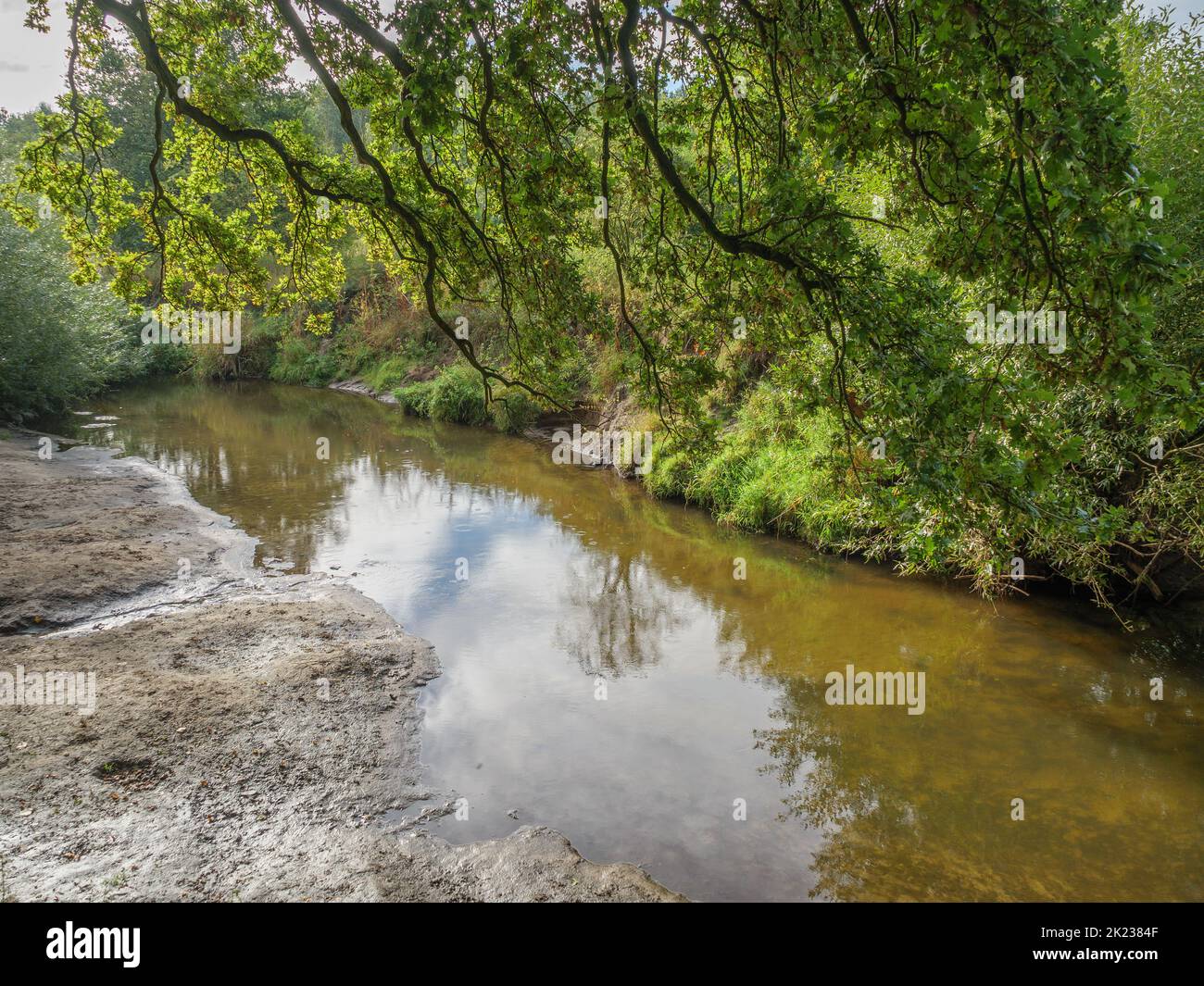 hiking at the berkel river in germany Stock Photo - Alamy