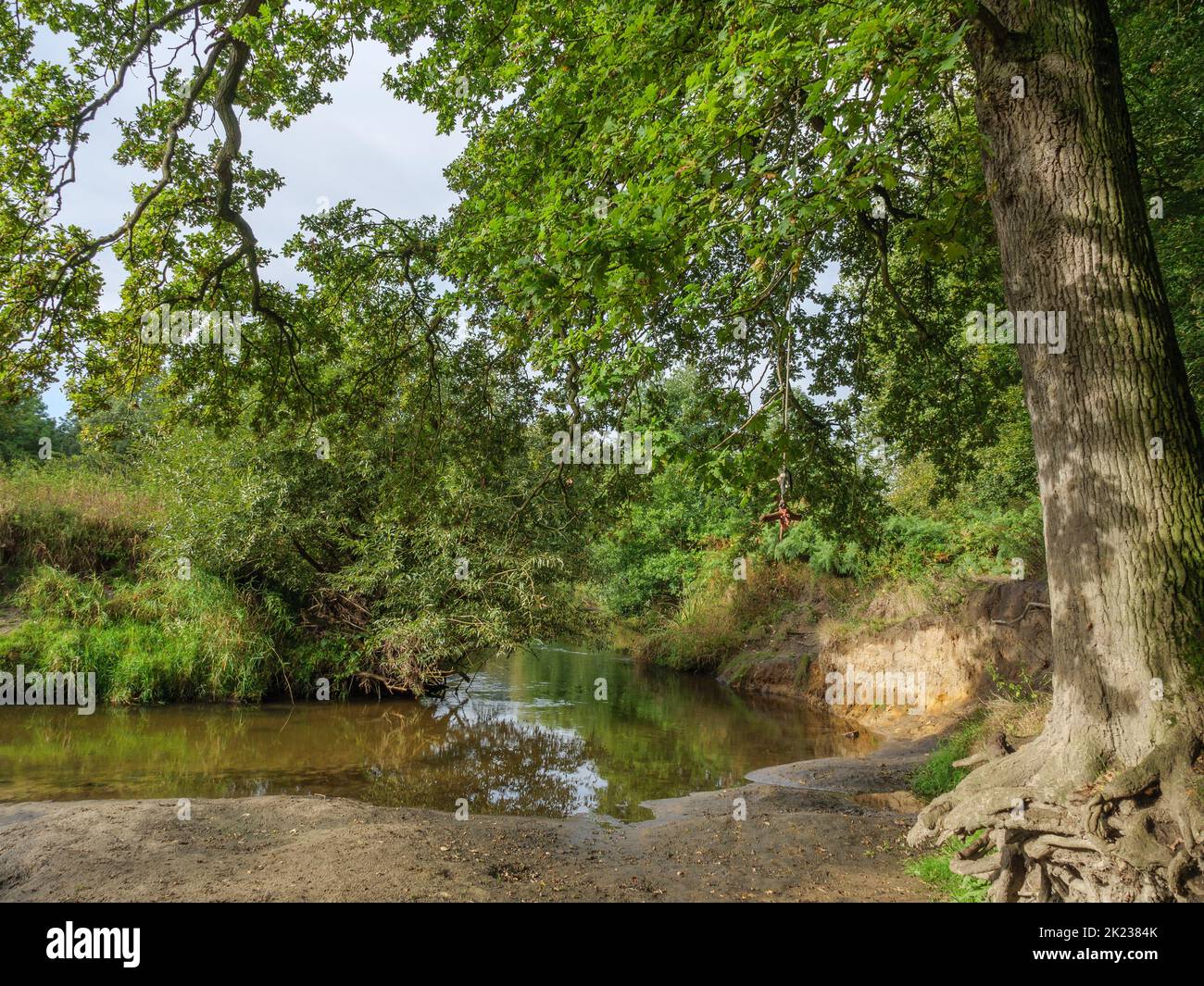 hiking at the berkel river in germany Stock Photo - Alamy