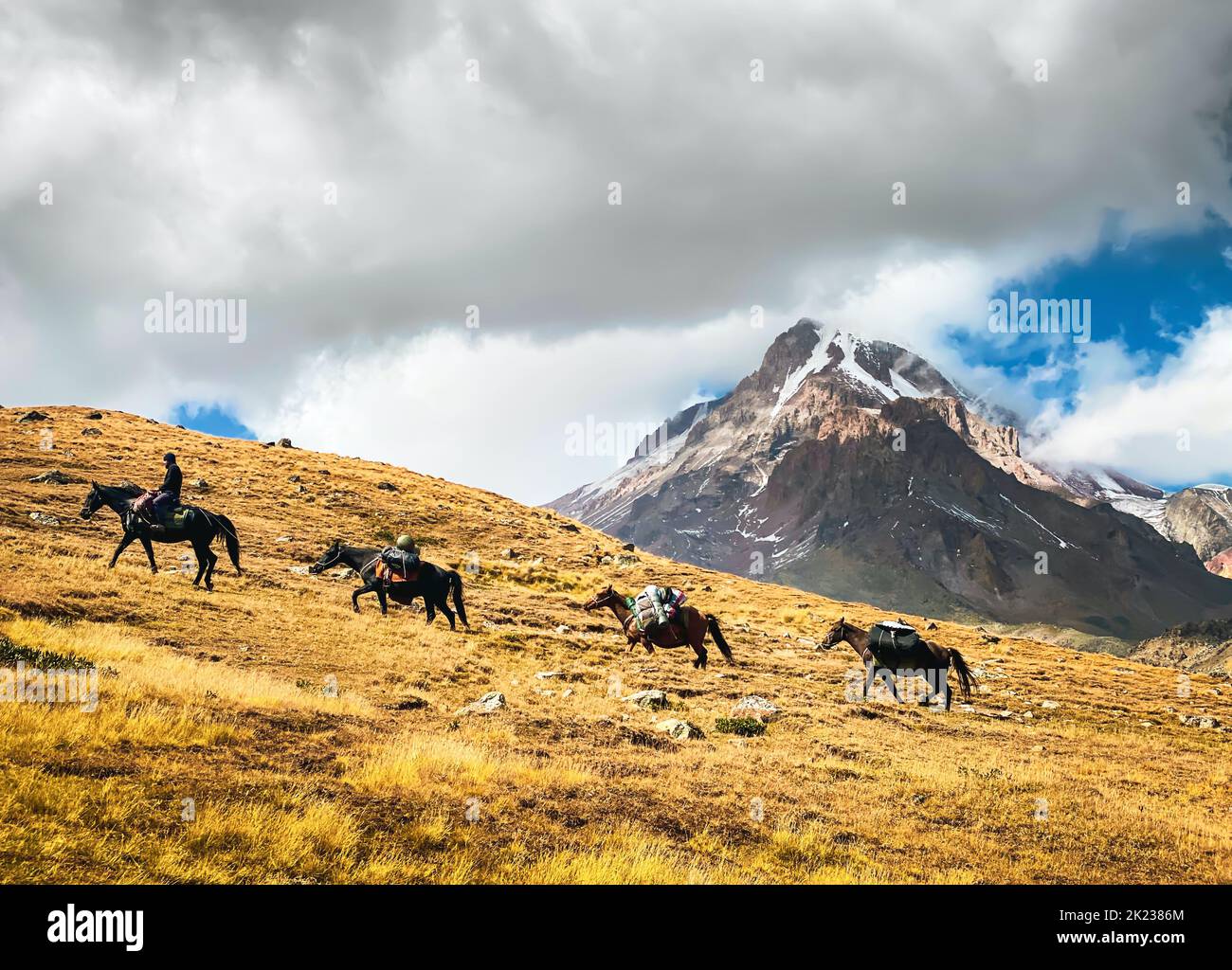 Four horses with load go up mountain lead by georgian rider in scenic ...