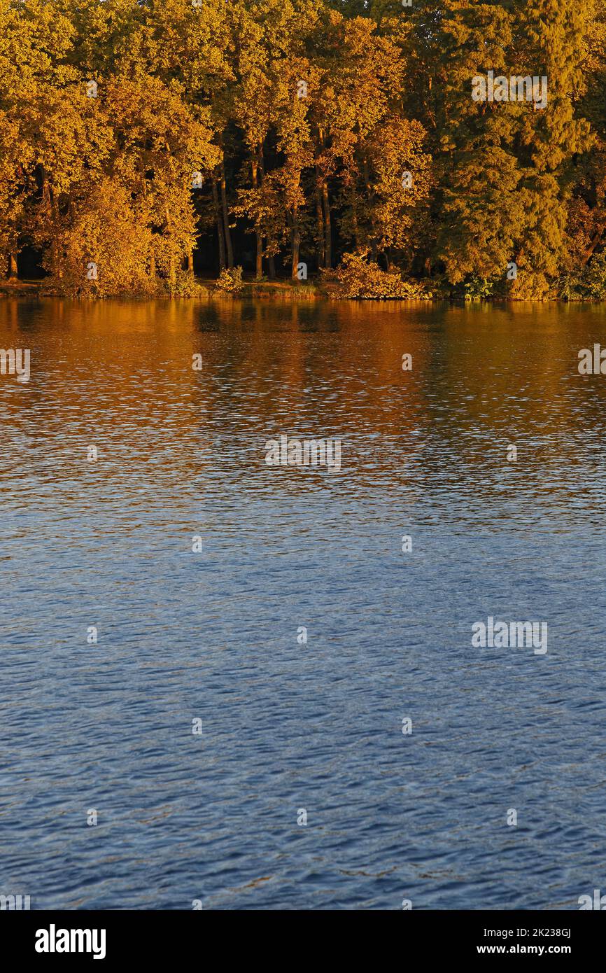 First Colors of Fall on trees and lake of Parc de la Tete d'Or Stock ...