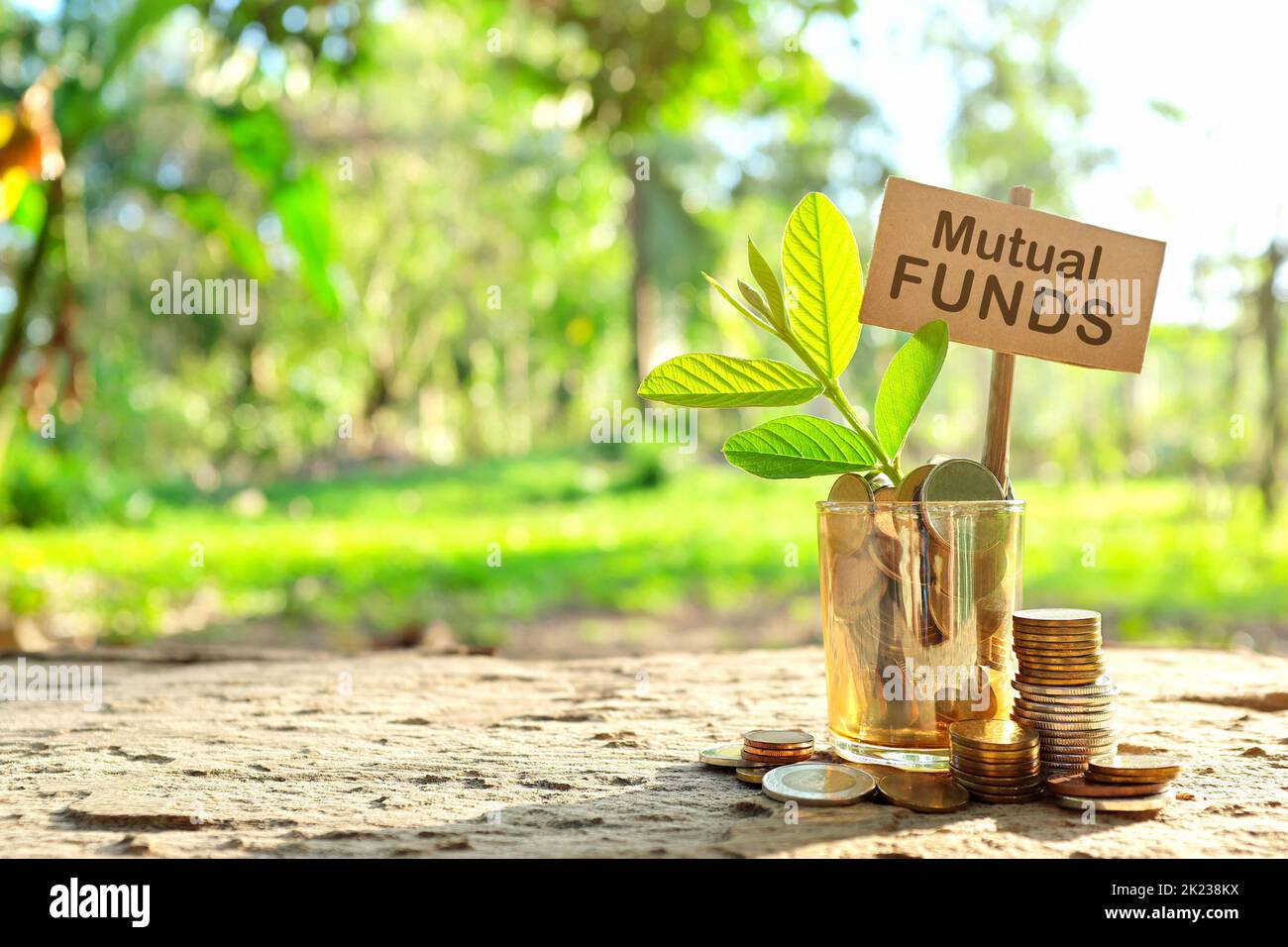 Investment on Mutual Funds concept. Coins in a jar with soil and ...