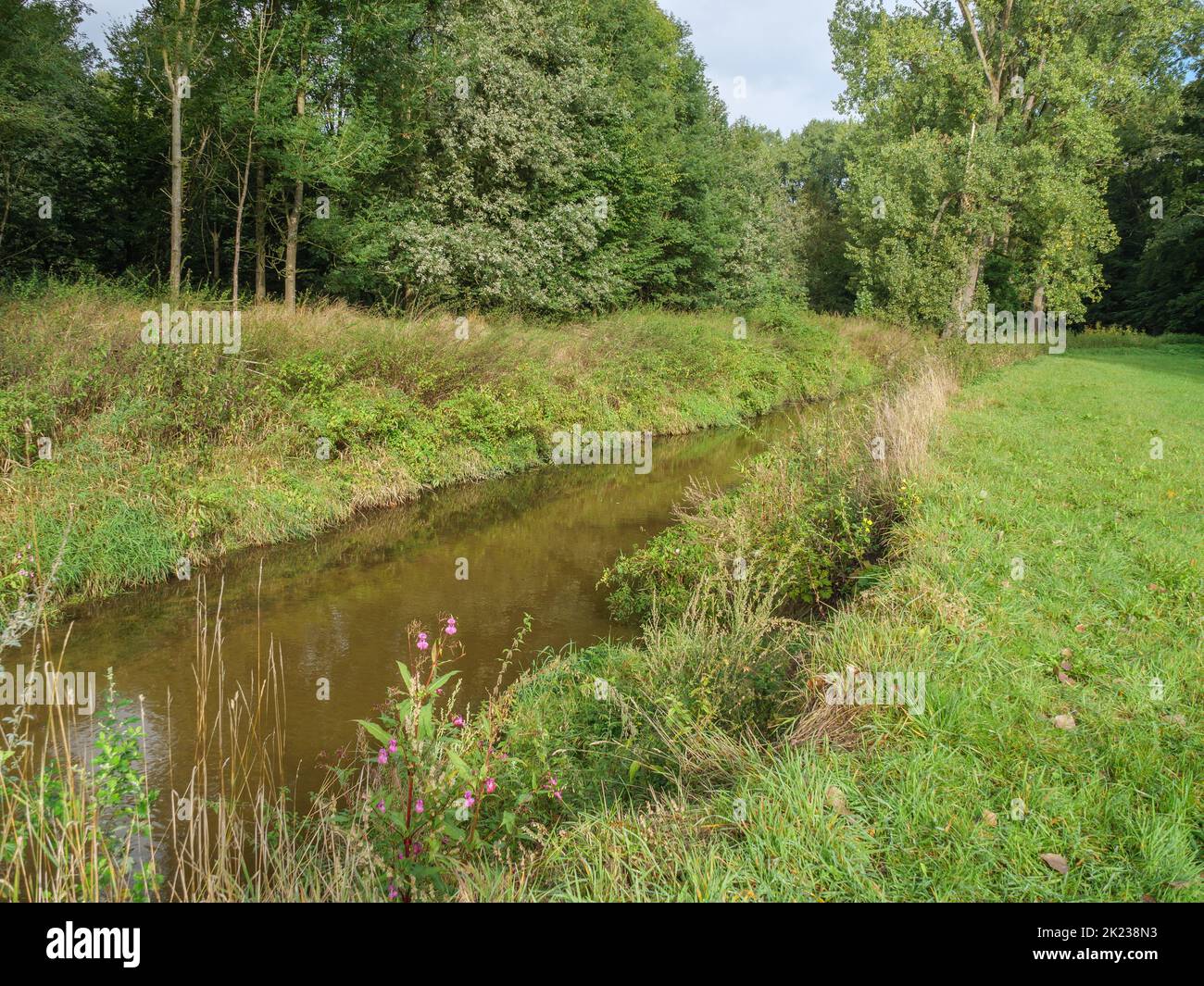 hiking at the berkel river in germany Stock Photo - Alamy