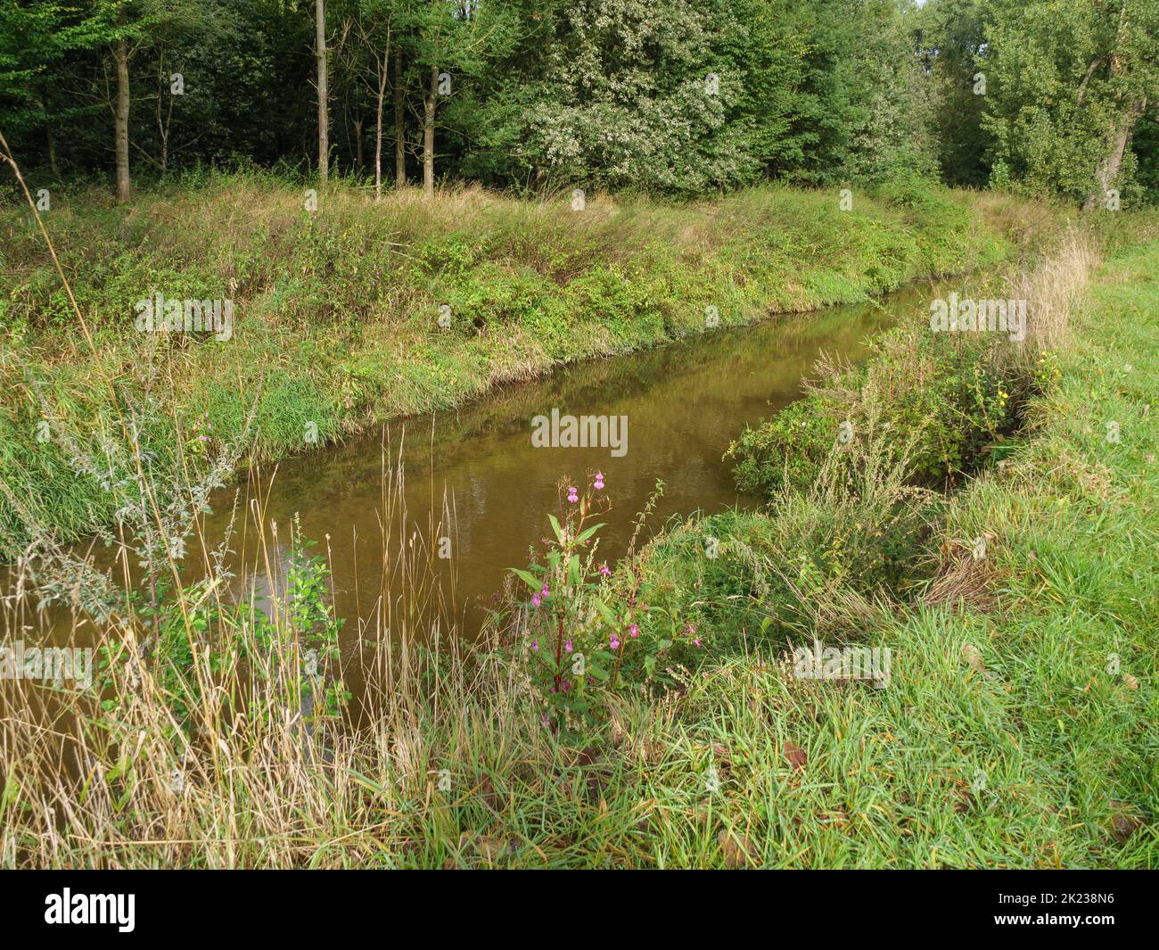 hiking at the berkel river in germany Stock Photo - Alamy