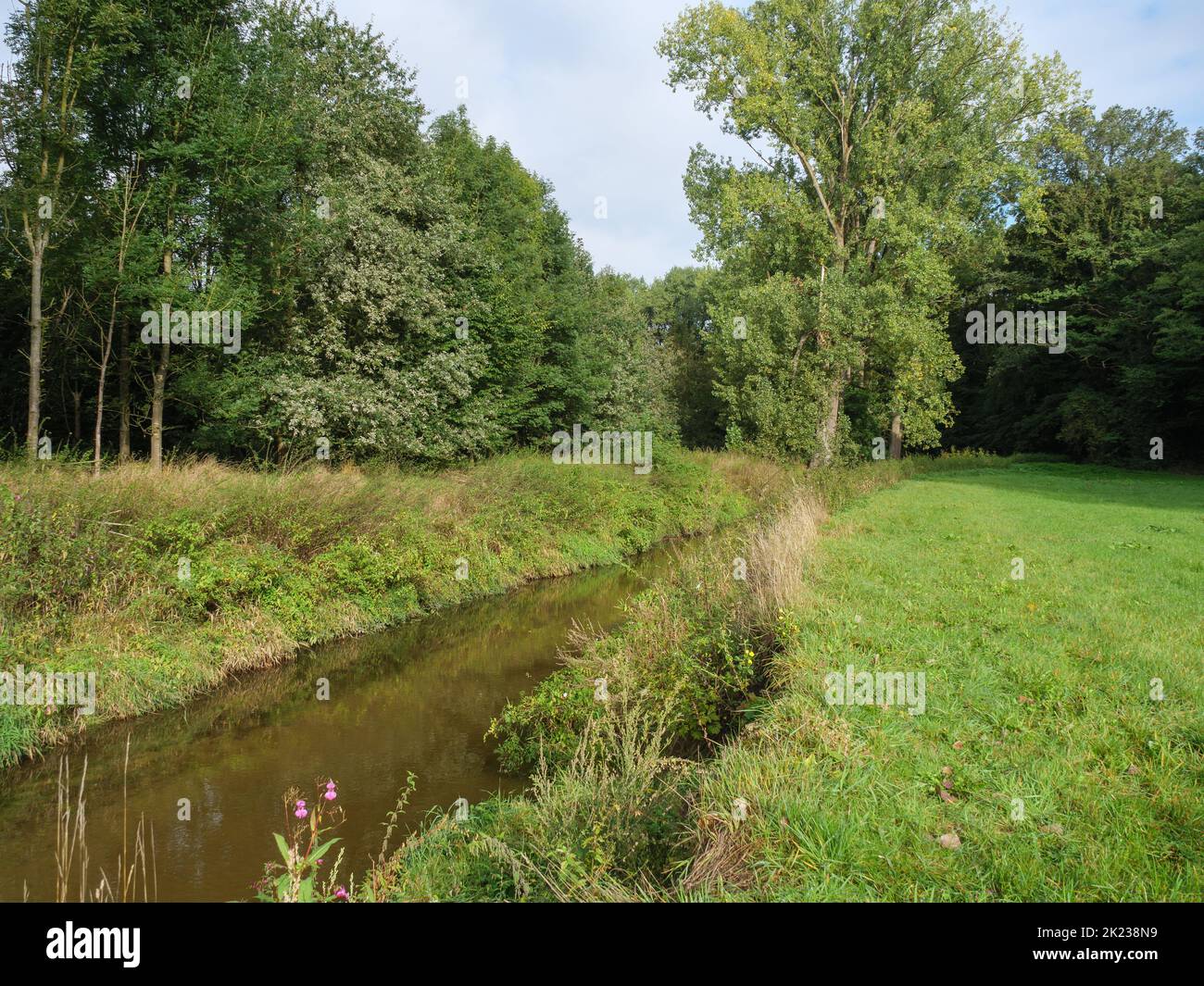 hiking at the berkel river in germany Stock Photo - Alamy