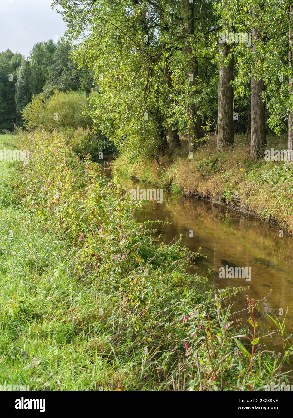 hiking at the berkel river in germany Stock Photo - Alamy