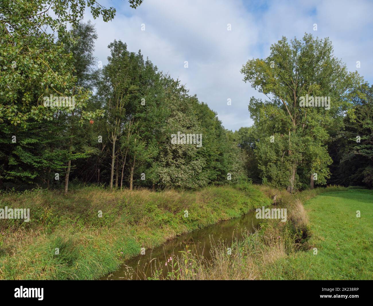 hiking at the berkel river in germany Stock Photo - Alamy