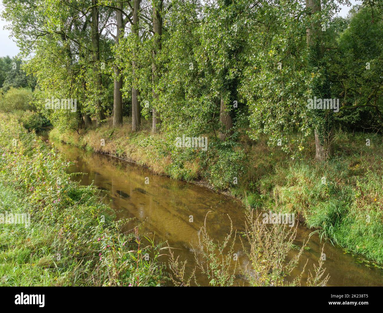 hiking at the berkel river in germany Stock Photo - Alamy