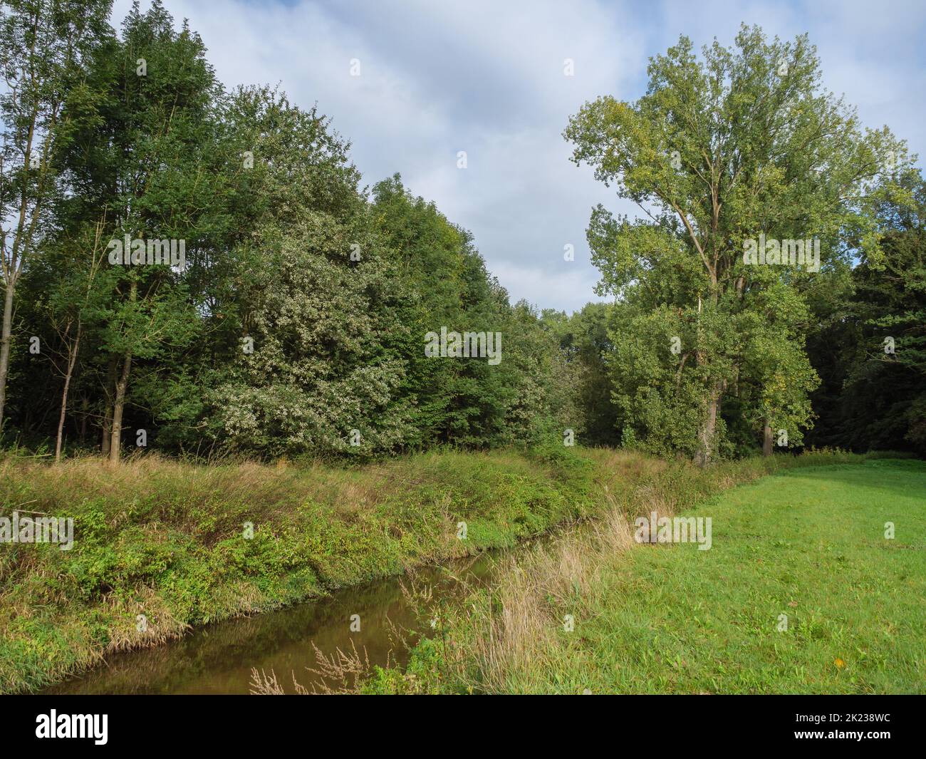 hiking at the berkel river in germany Stock Photo - Alamy