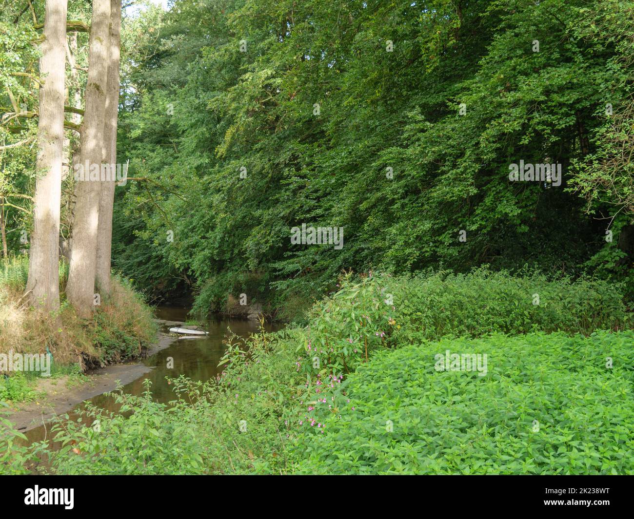 hiking at the berkel river in germany Stock Photo - Alamy