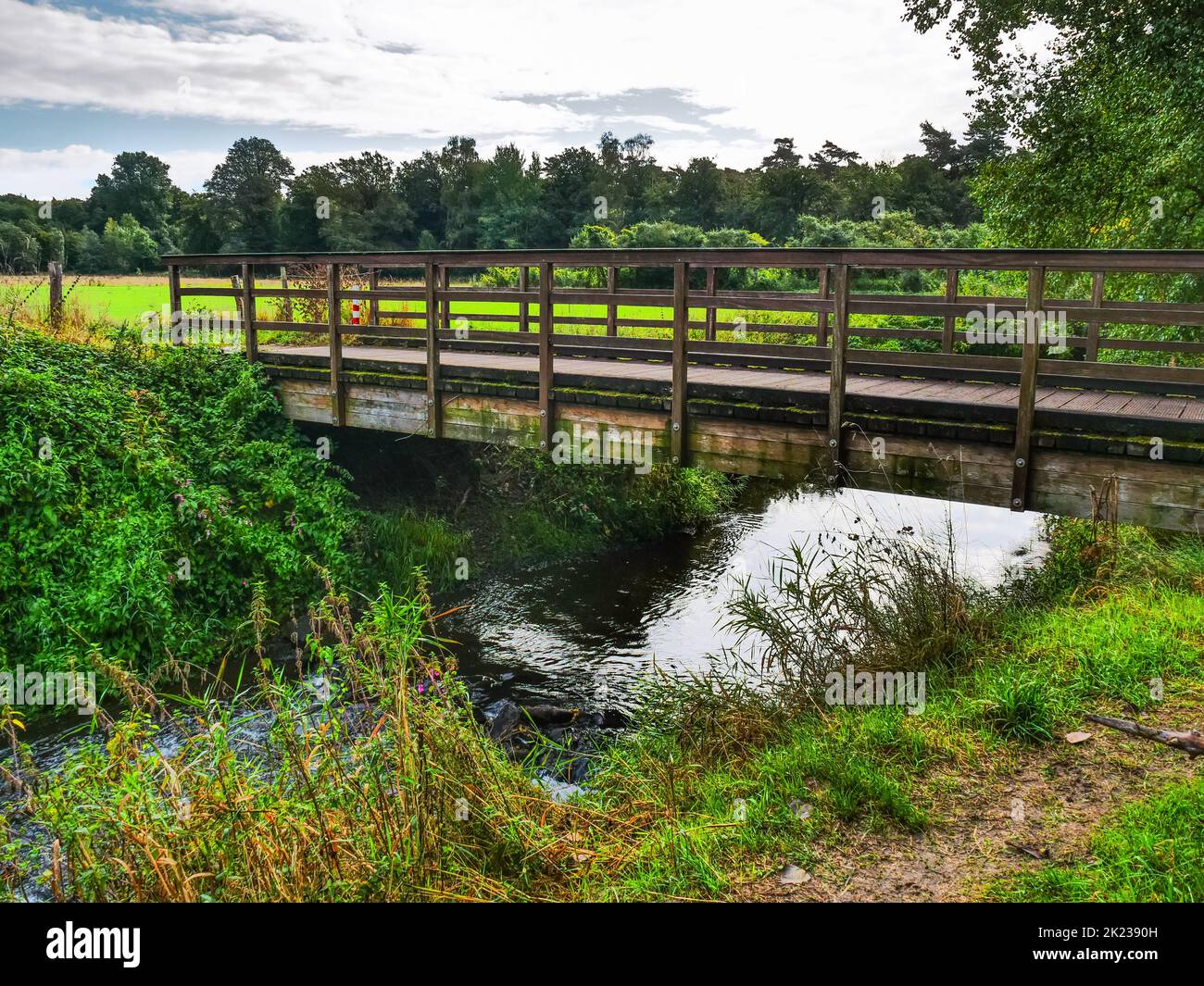 hiking at the berkel river in germany Stock Photo - Alamy