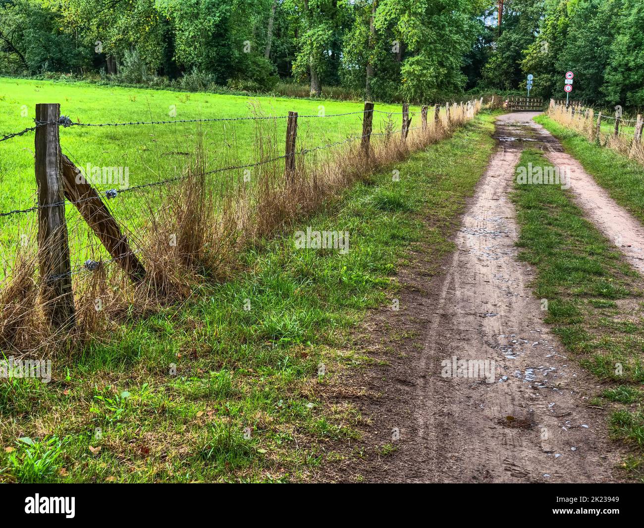 hiking at the berkel river in germany Stock Photo - Alamy