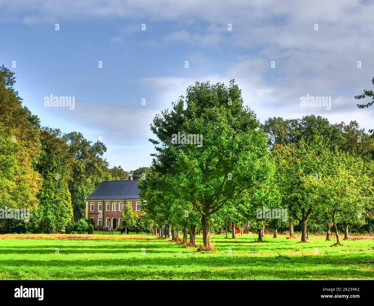 hiking at the berkel river in germany Stock Photo - Alamy