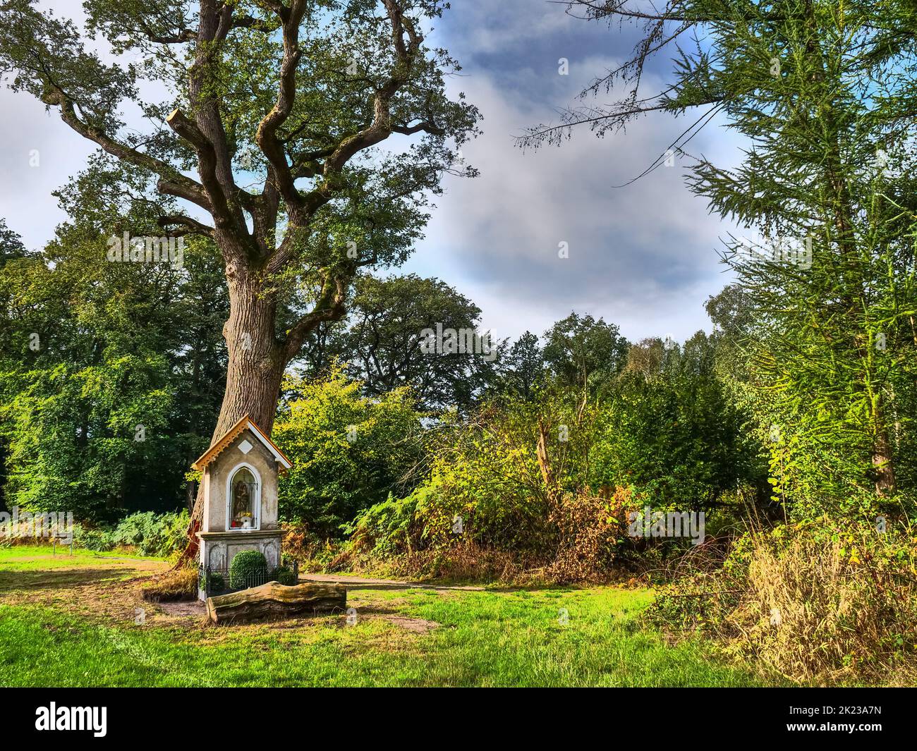 hiking at the berkel river in germany Stock Photo - Alamy