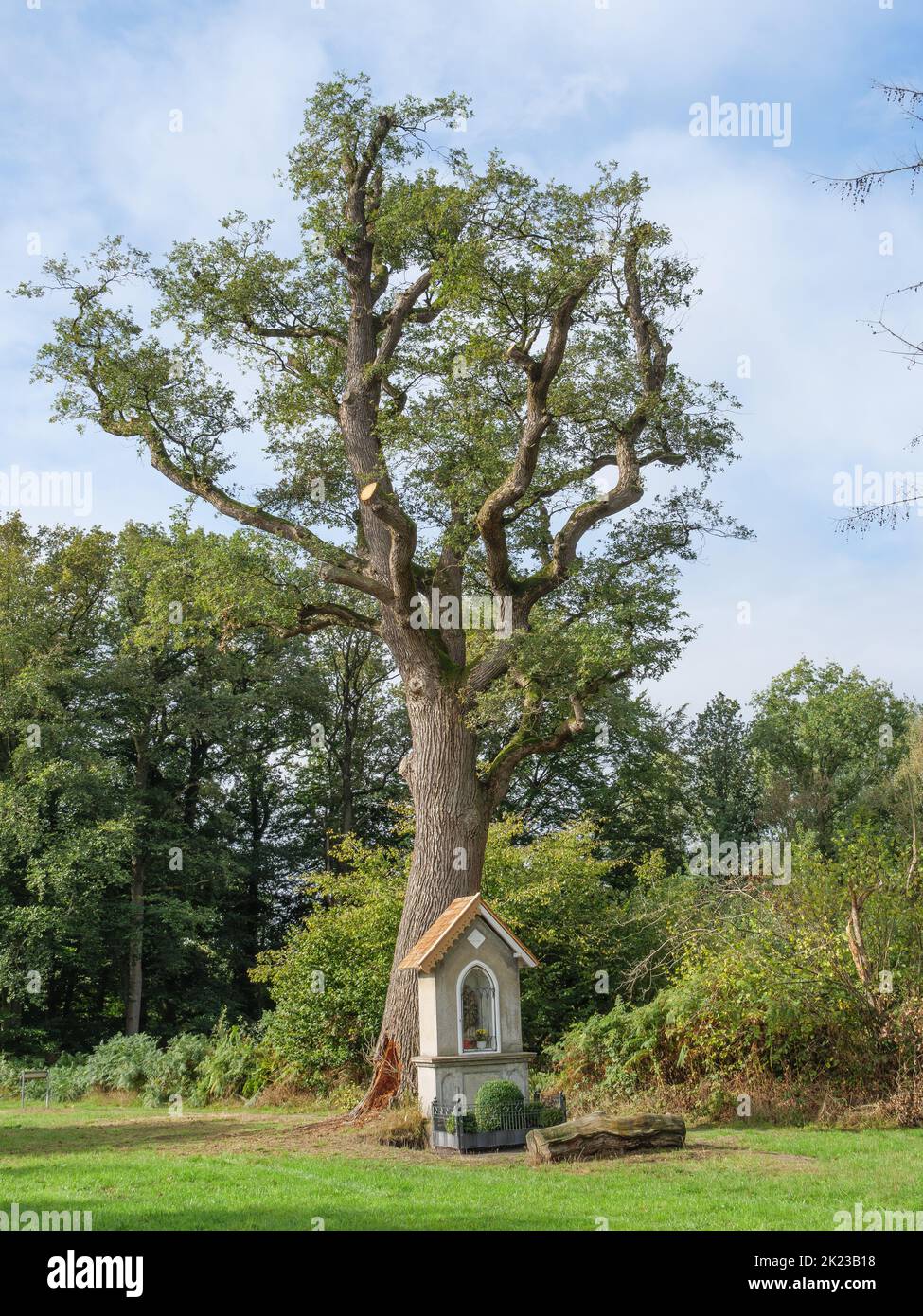 hiking at the berkel river in germany Stock Photo - Alamy