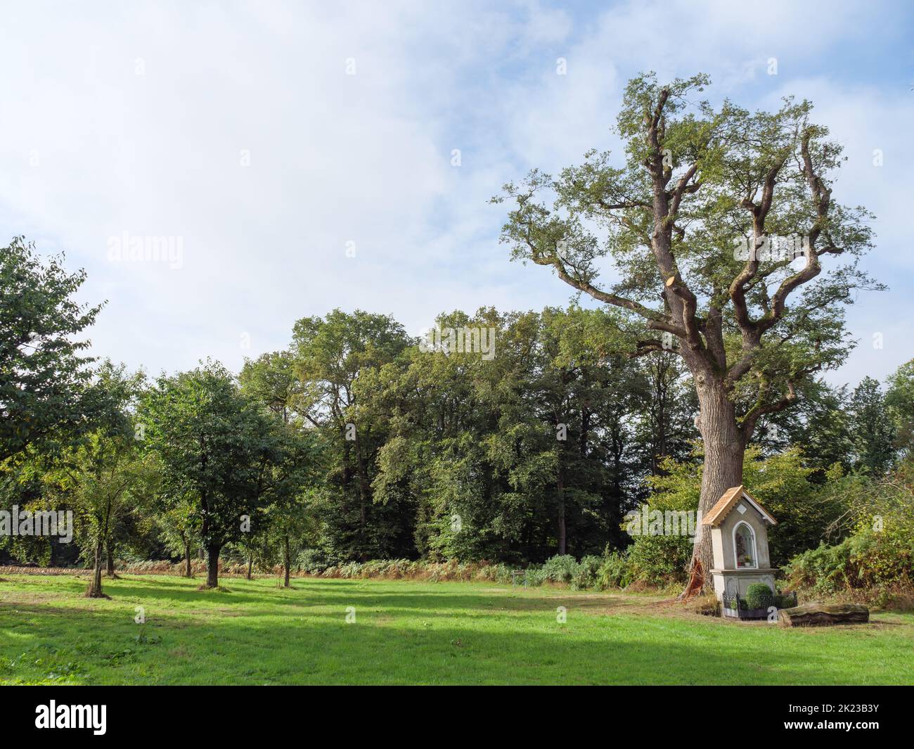 hiking at the berkel river in germany Stock Photo - Alamy
