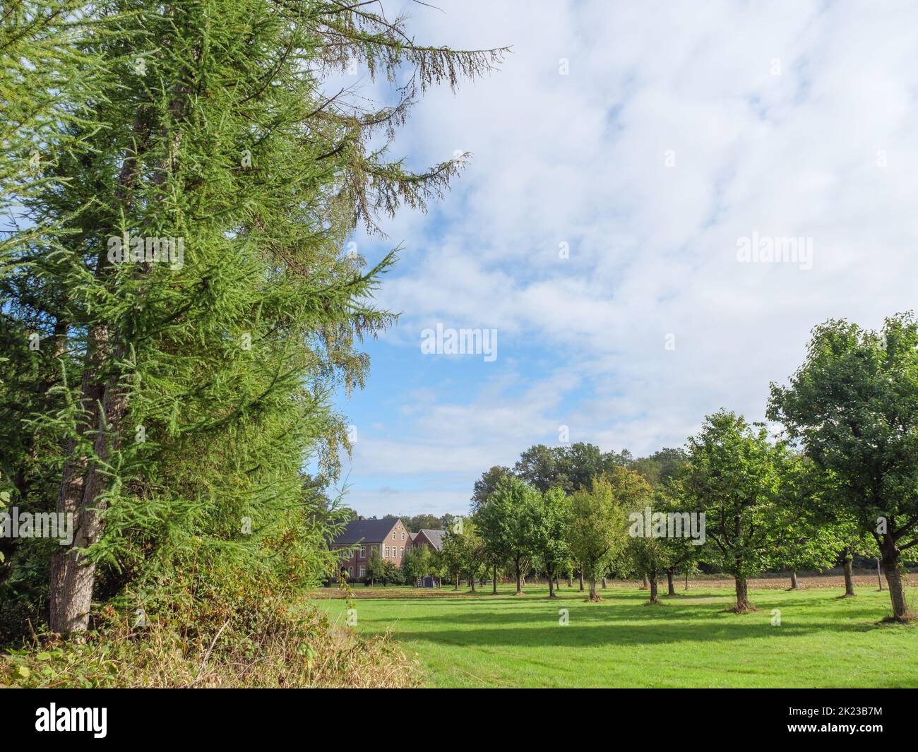 hiking at the berkel river in germany Stock Photo - Alamy
