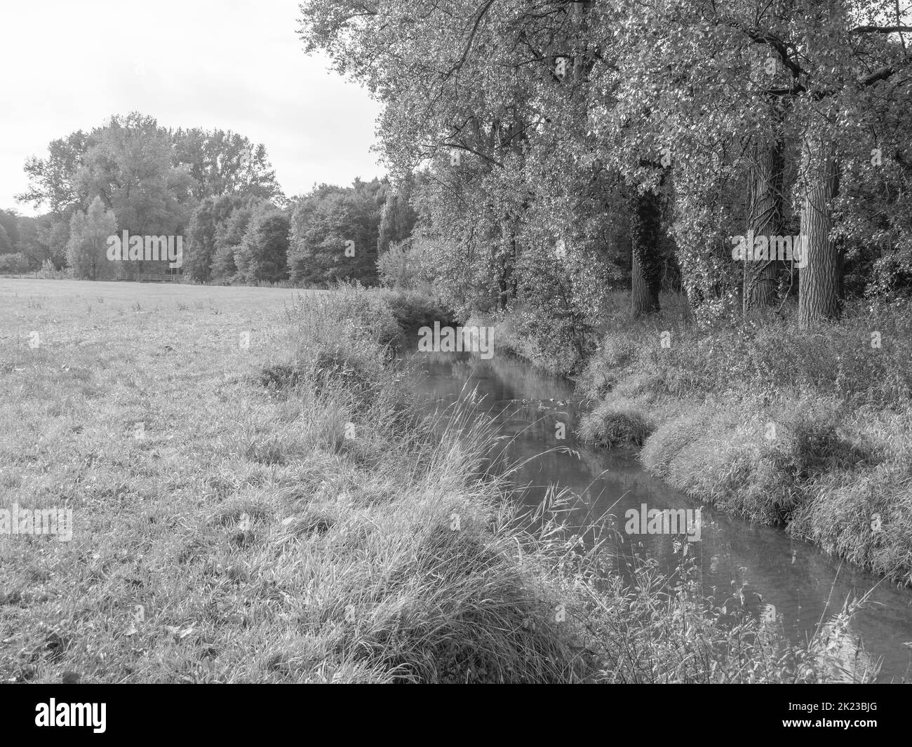 hiking at the berkel river in germany Stock Photo - Alamy