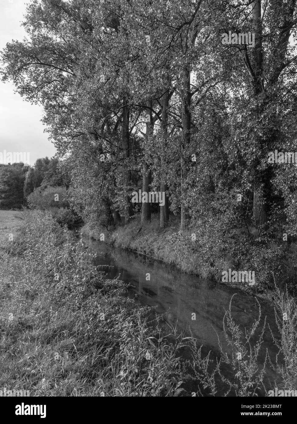 hiking at the berkel river in germany Stock Photo - Alamy