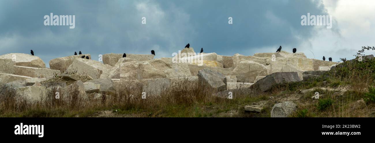 Crows on Rock Tout Quarry Sculpture Park Stock Photo - Alamy