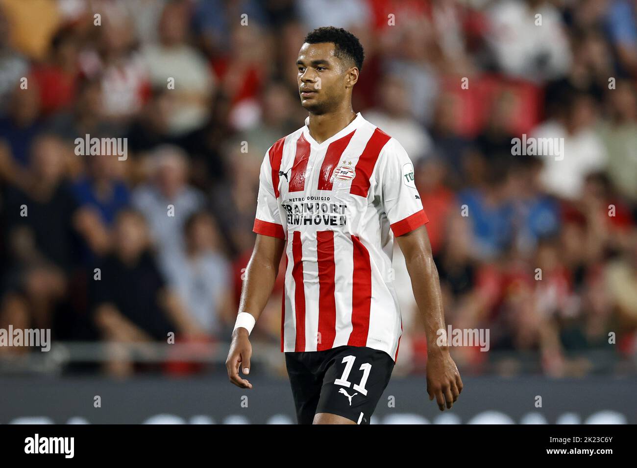 Cody gakpo 2022 rangers hi-res stock photography and images - Alamy