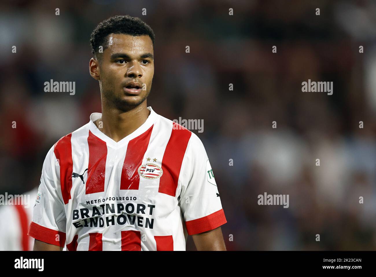 Cody gakpo 2022 rangers hi-res stock photography and images - Alamy
