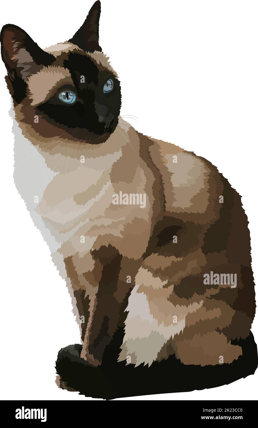 Realistic siamese cat icon on white background. Domestic animal Stock ...