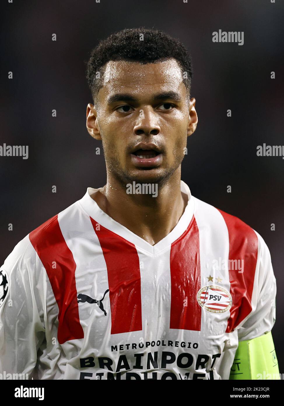 EINDHOVEN - Cody Gakpo of PSV Eindhoven during the UEFA Champions ...