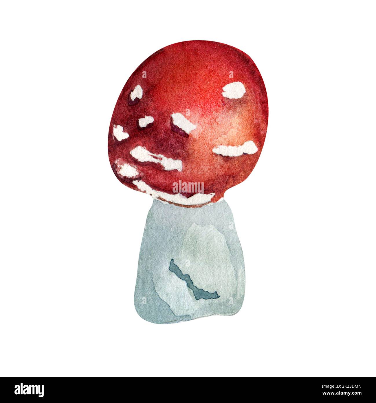 Red fly agaric, toadstool watercolor illustration isolated on white ...