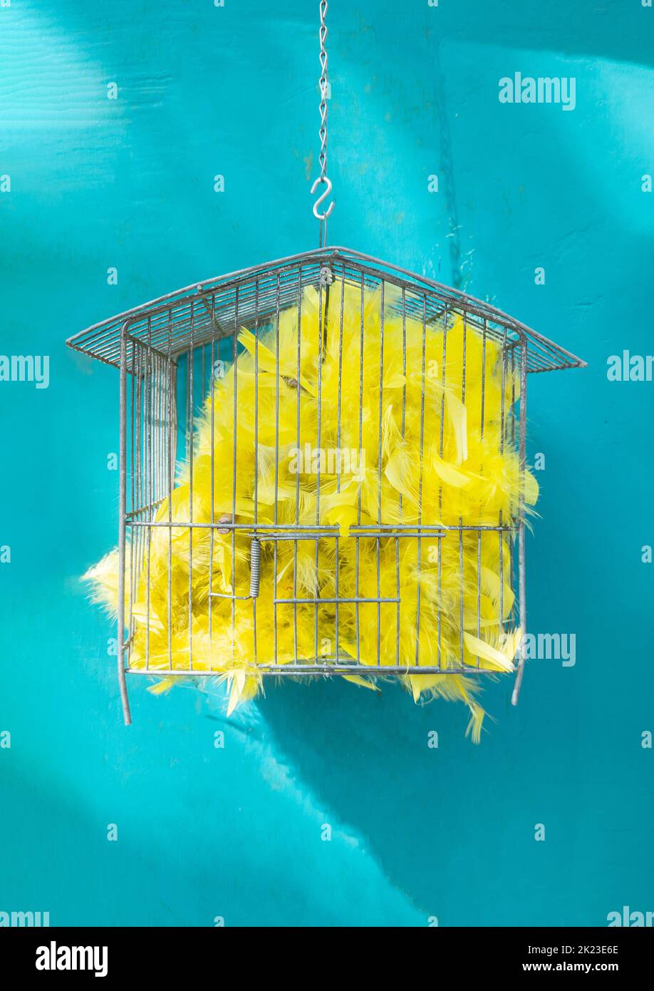 Empty bird cage feathers hi-res stock photography and images - Alamy