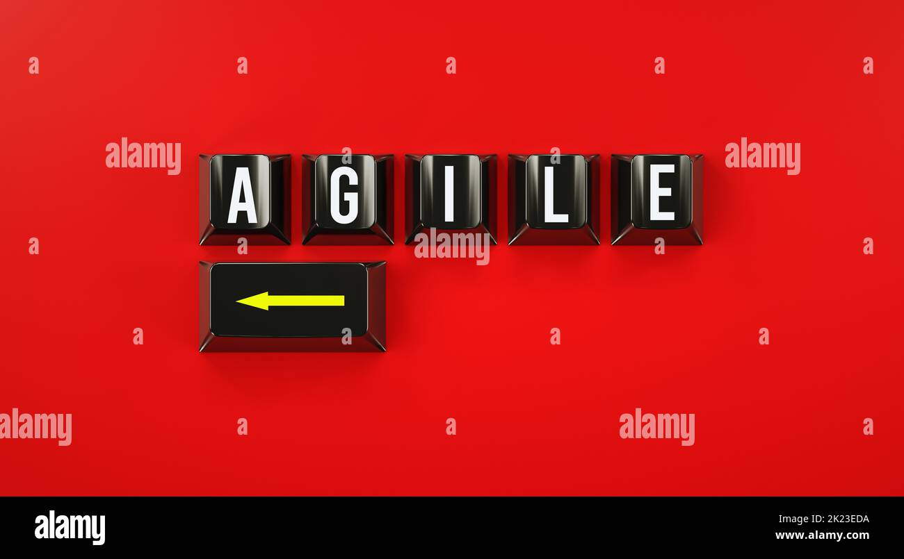 Flow chart programming process hi-res stock photography and images - Alamy