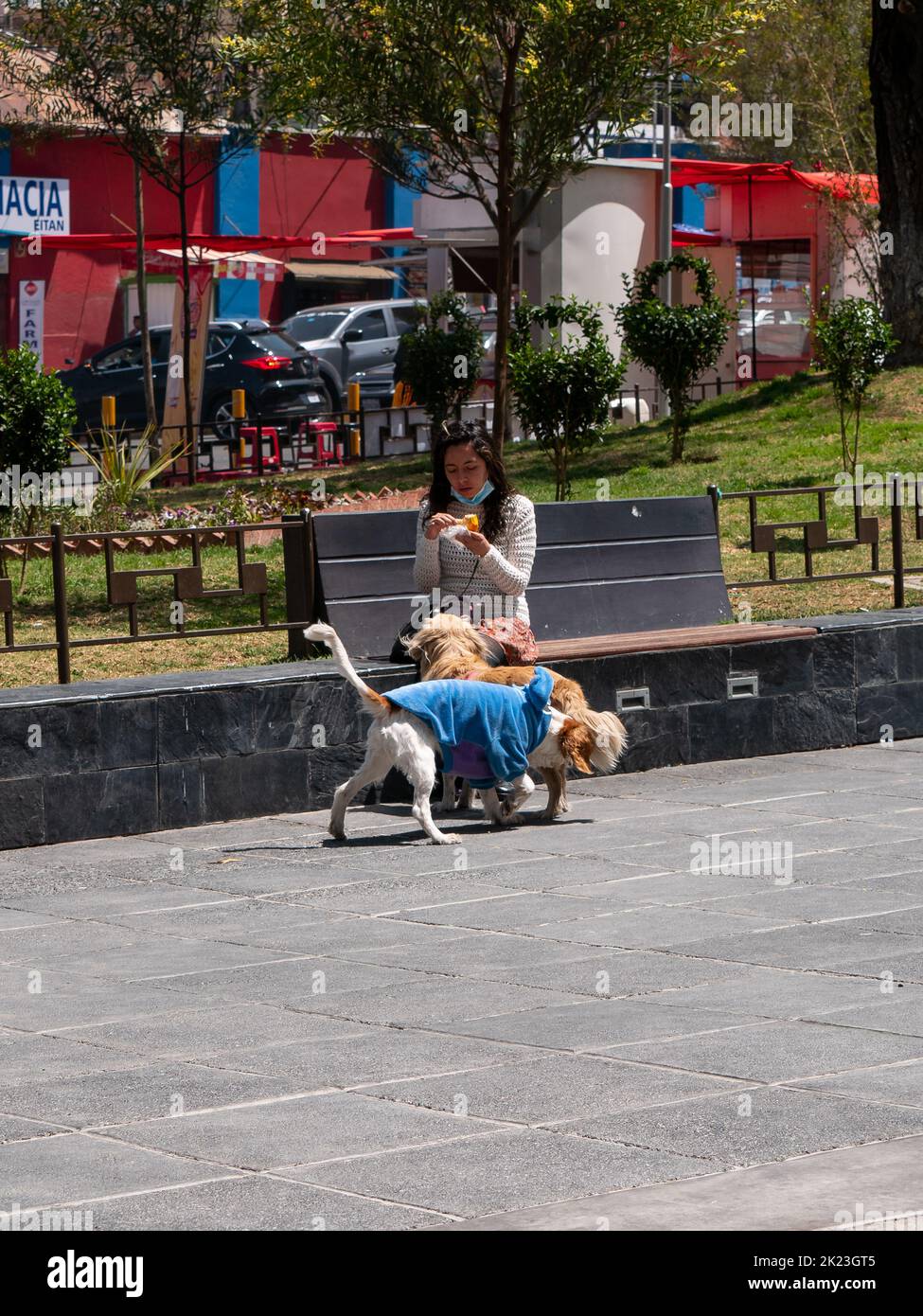 La Paz, Bolivia - September 11 2022: A Young Bolivian Girl Eating an ...