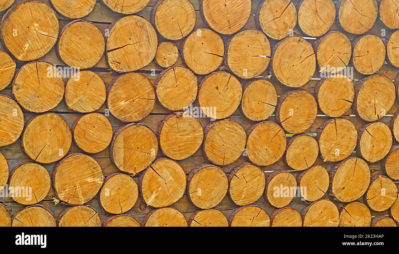 Pine wood logs.Wooden background Stock Photo - Alamy