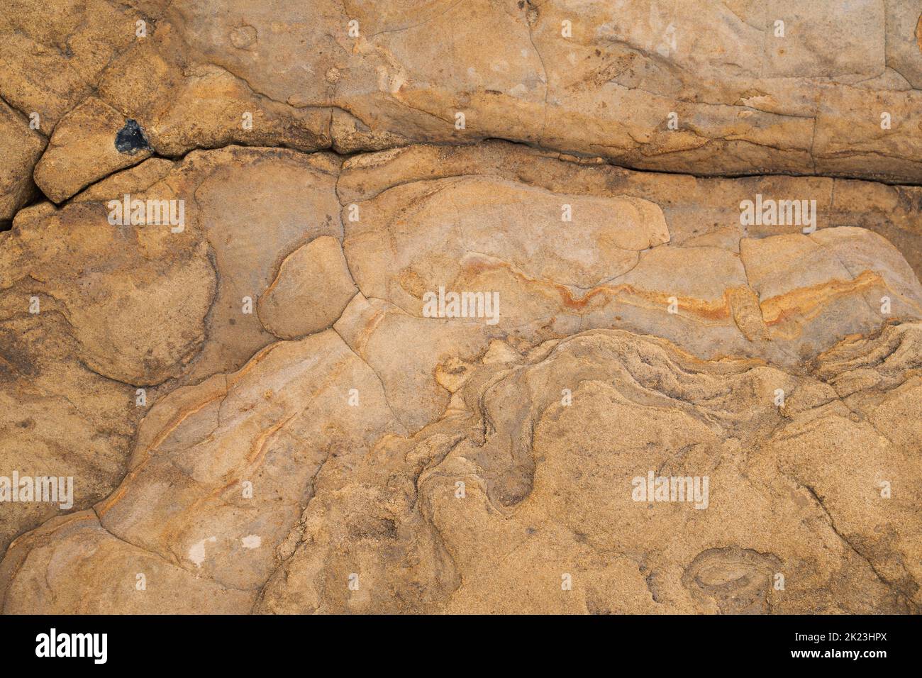 Point Lobos orange yellow soft rock stone texture with cracks. Natural ...