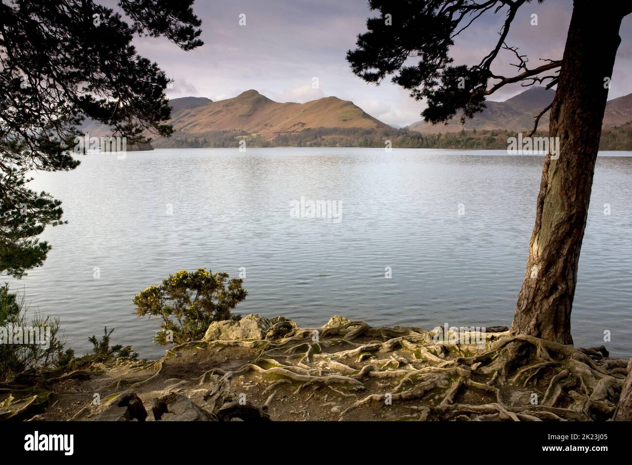 The ridge of Catbells viewed across Derwentwater from Friar's Crag in ...