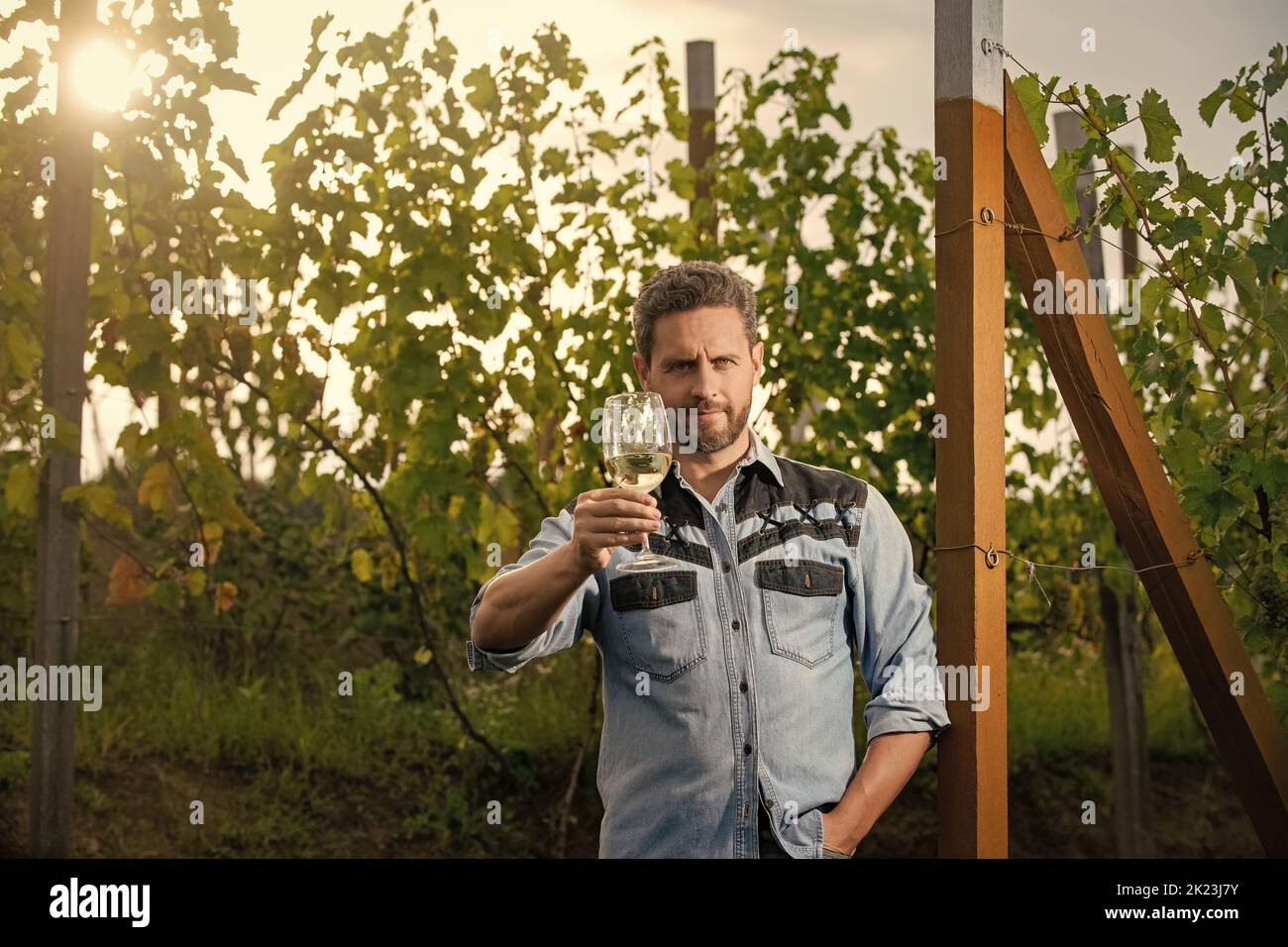 Cheerful mature man winery hi-res stock photography and images - Alamy